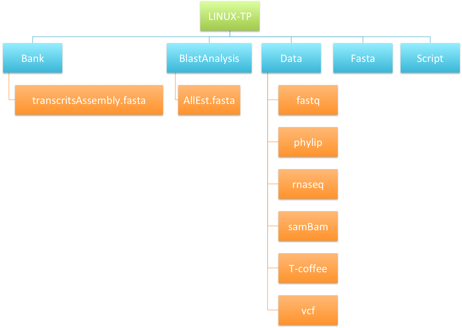 Trainings 2019 - Linux For Dummies - Practice - itrop