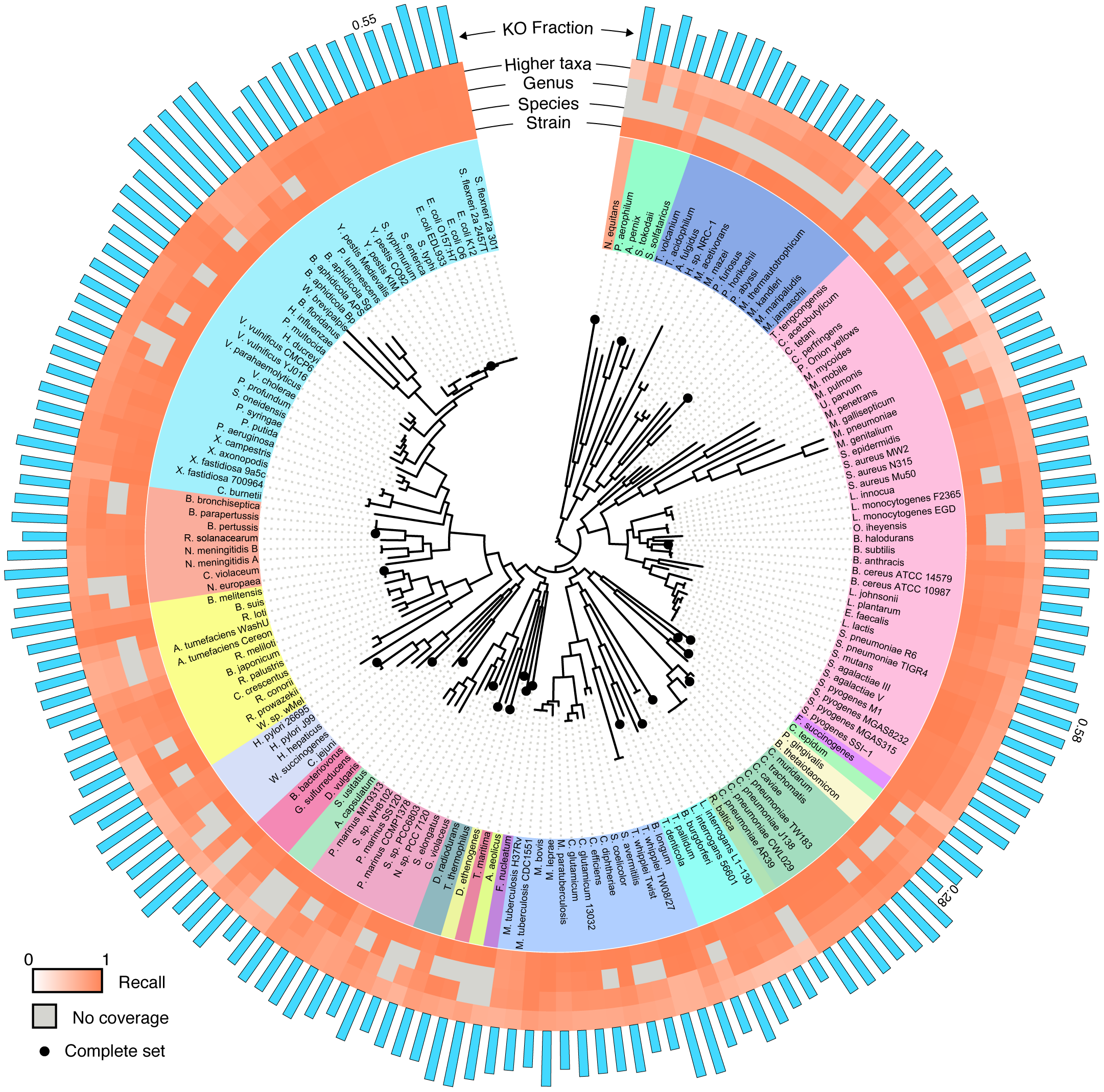 Metabarcoding Training